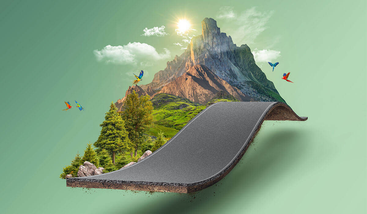 Eco-Driving – A Greener Path for New Zealand’s Roads - Teletrac Navman NZ